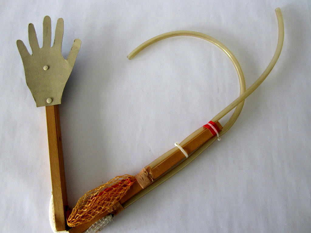 Stütz- und Bewegungsapparat - Didaktik der Biologie